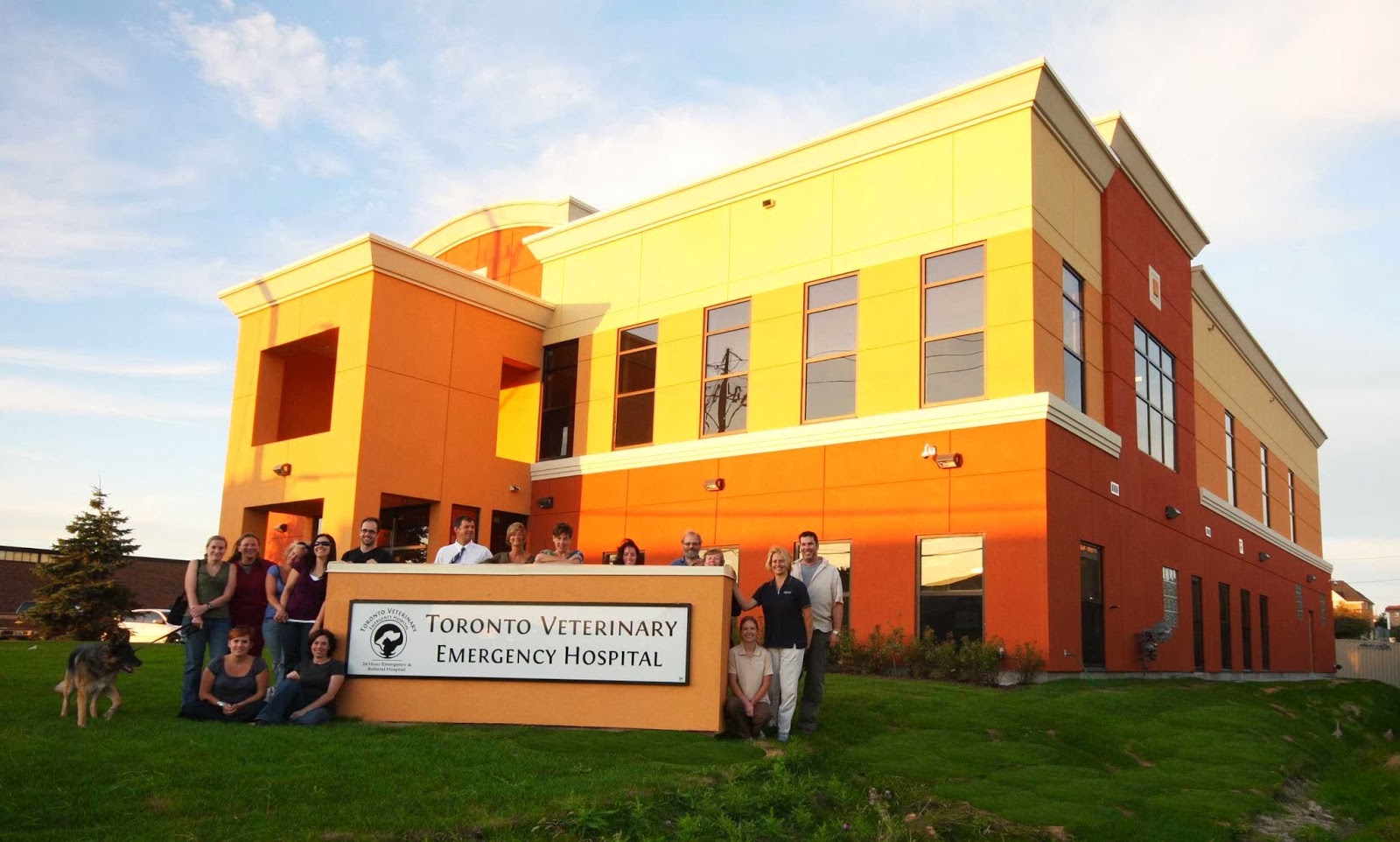 PetsApp | Toronto Veterinary Emergency Hospital